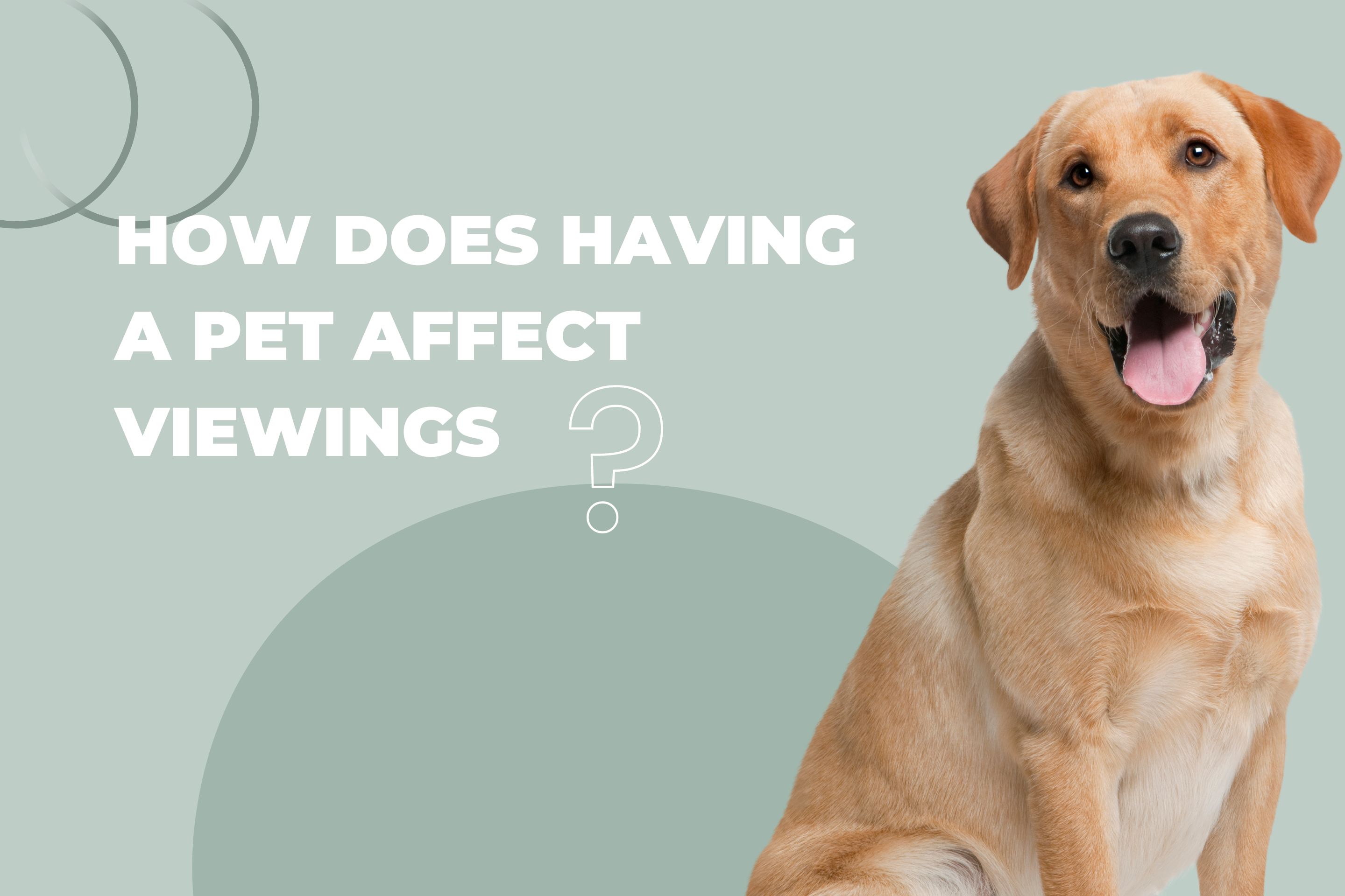 How Does Having a Pet Affect Viewings? | Dockside