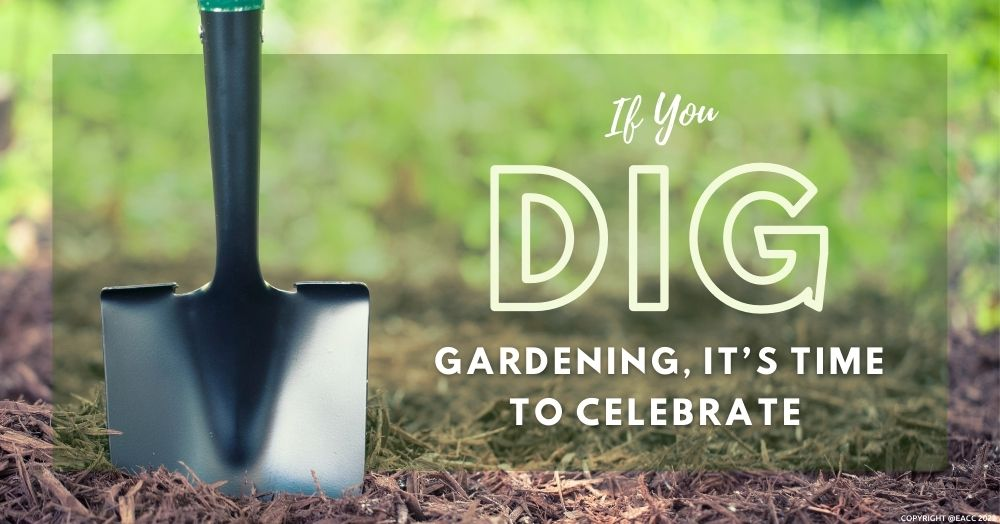 Six Ways to Celebrate National Gardening Week | THINK Estate Agents