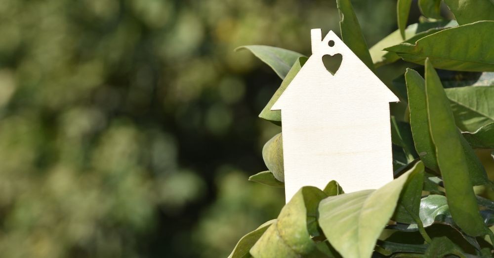 Get your home sold this summer with these top tips | Lesley Hooks