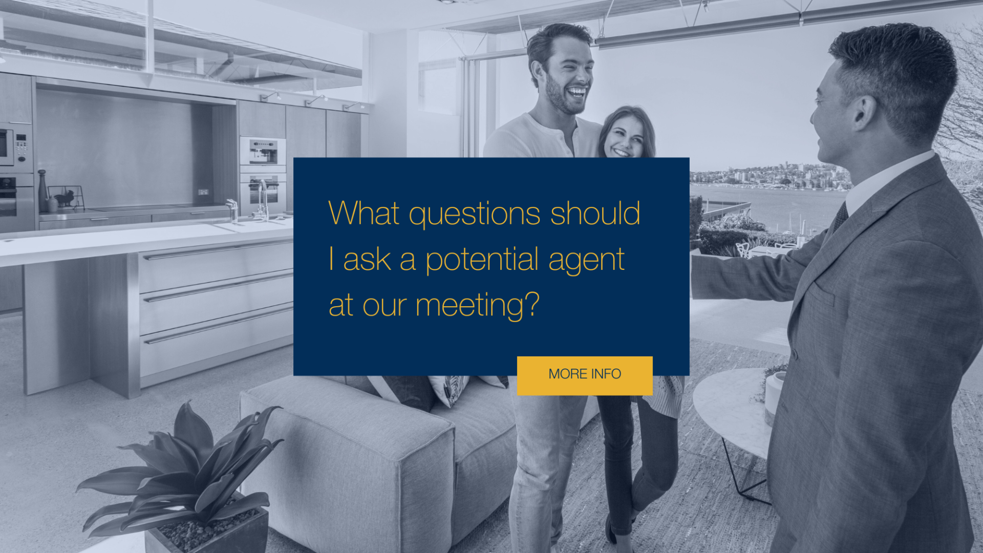 What questions should I ask a potential agent at our meeting